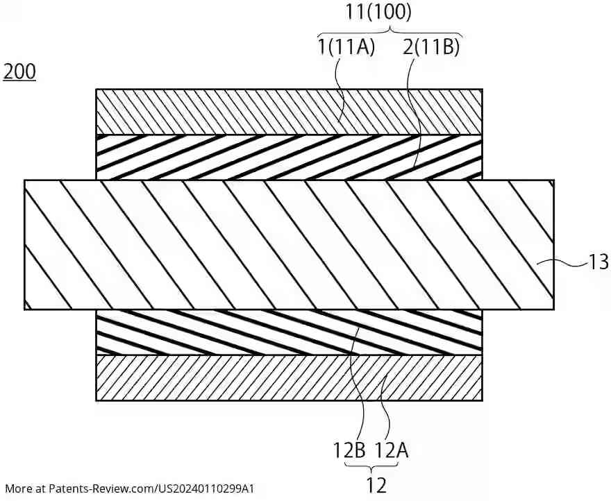 SUPPORT, ELECTRODE, MEMBRANE ELECTRODE ASSEMBLY, ELECTROCHEMICAL CELL ...