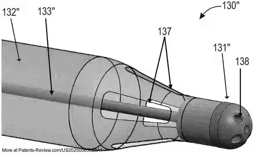EXPANDABLE ECMO EXTENSION CANNULA SYSTEM - Patent Application