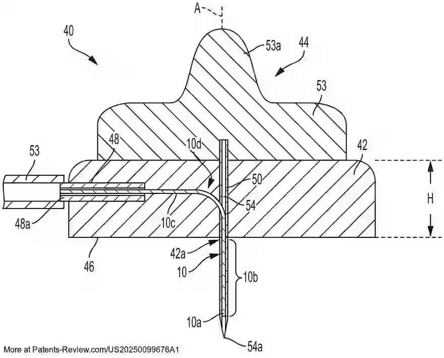 FLEXIBLE CANNULA INSERTION DEVICE, SYSTEM AND PROCESS - Patent Application