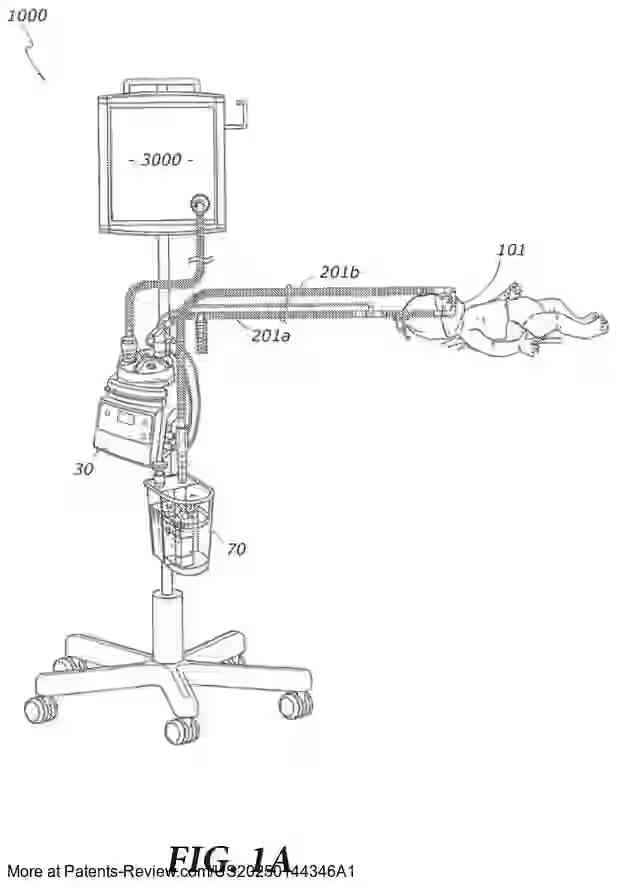 NASAL CANNULA AND SECUREMENT SYSTEM - Patent Application